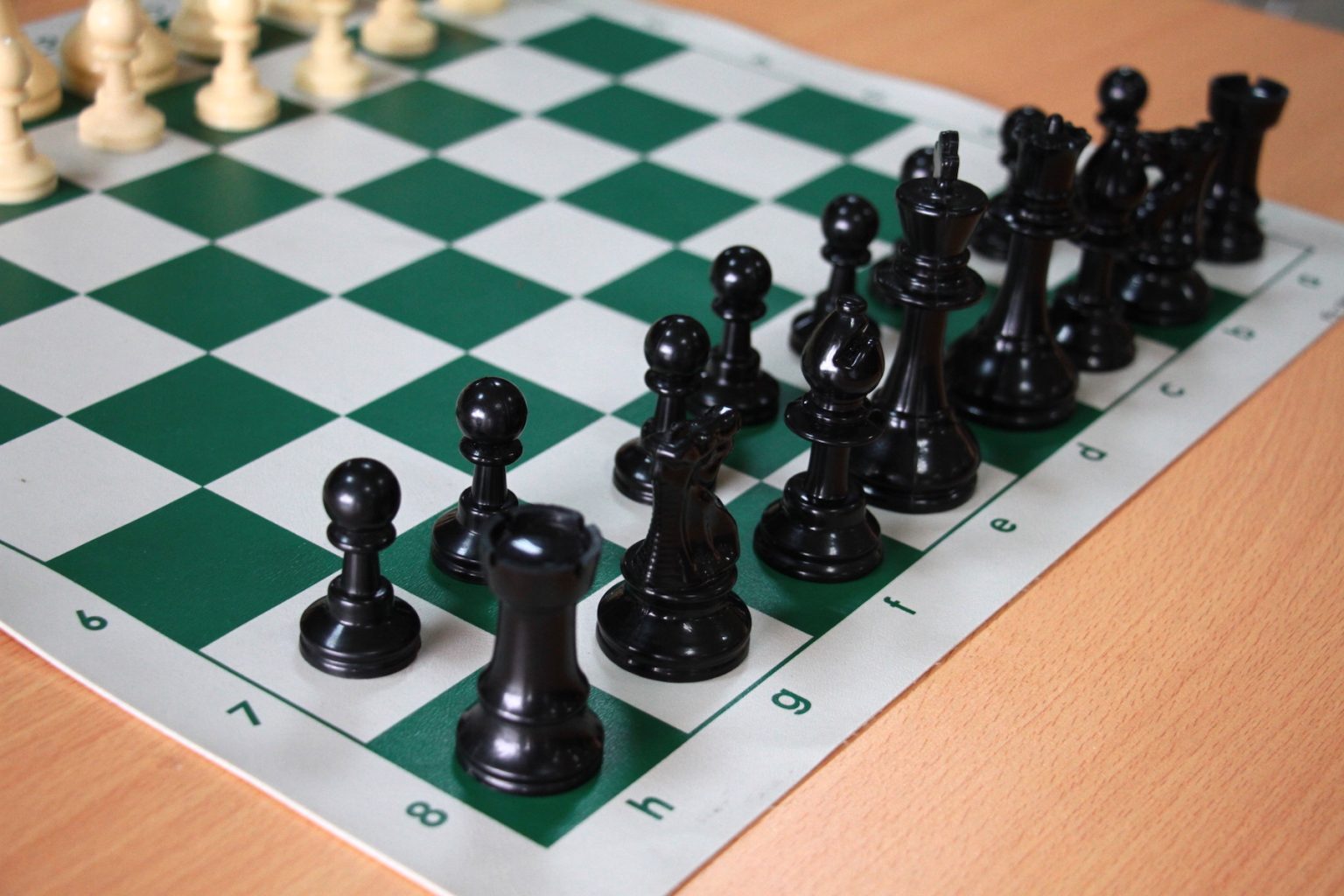 Best Chess Sets For Beginners (With Buying Guide!) - Chess Delta