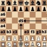 7 Reasons Why Chess Players Write Down Their Moves - Chess Delta