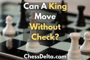 Can A Pawn Check A King? (Explained With Examples!) - Chess Delta
