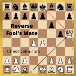 How To Win Chess In 2 Moves? - Chess Delta