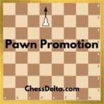 Chess Terms Every Player Should Know