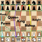How Many Pieces Are There In A Chess Set? - Chess Delta