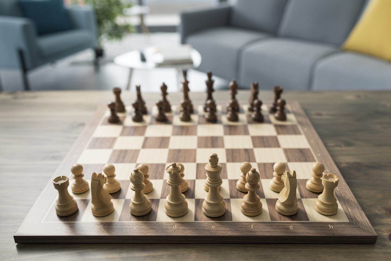 11 Best Chess Sets Under $100 - Chess Delta